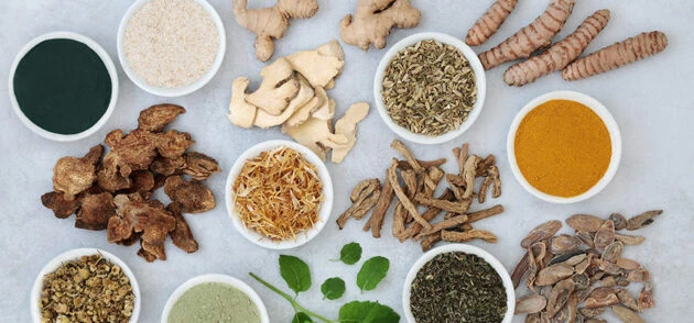 Dashmool: Benefits and Uses - bettergreenhealth